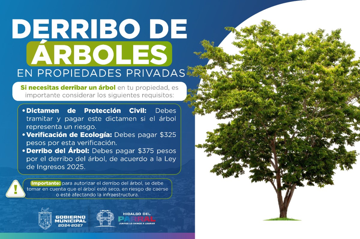 Derribo de Árboles en Propiedades Privadas – noticias furiagris parral ...